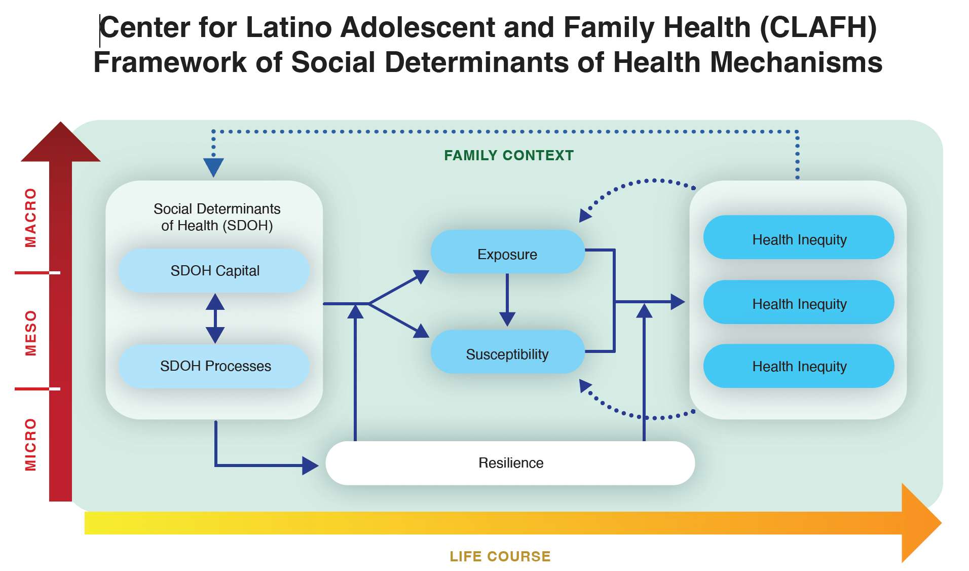 CLAFH Framework: Social Determinants of Health - The Center for Latino ...